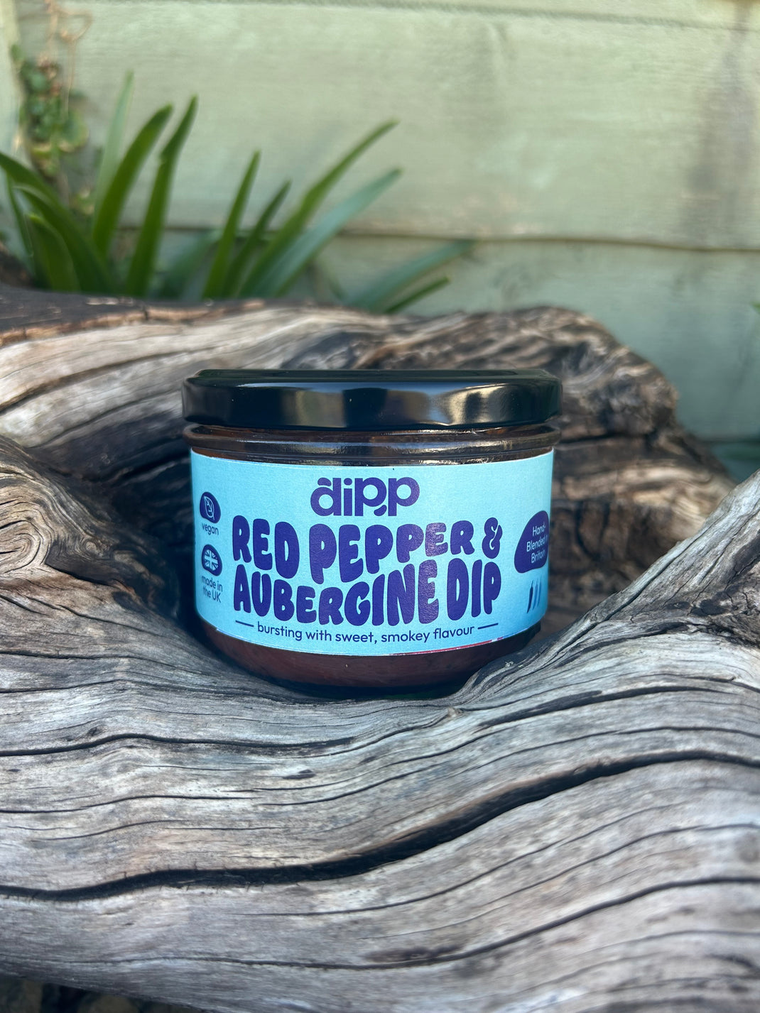 dipp - delicious dips to brighten the beige world of snacks | shop now ...